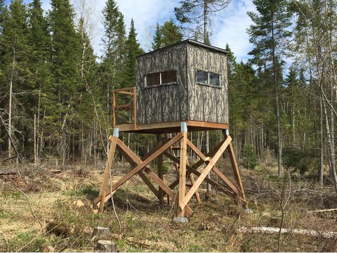 Cache de chasse Neuf à vendre à St-Nicolas (Québec) - LesPAC.com Sport ...